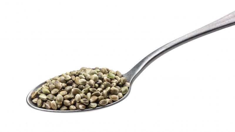 What Do Cannabis Seeds Look Like