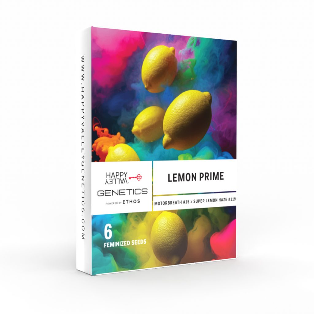 Lemon Prime Photo period cannabis seeds